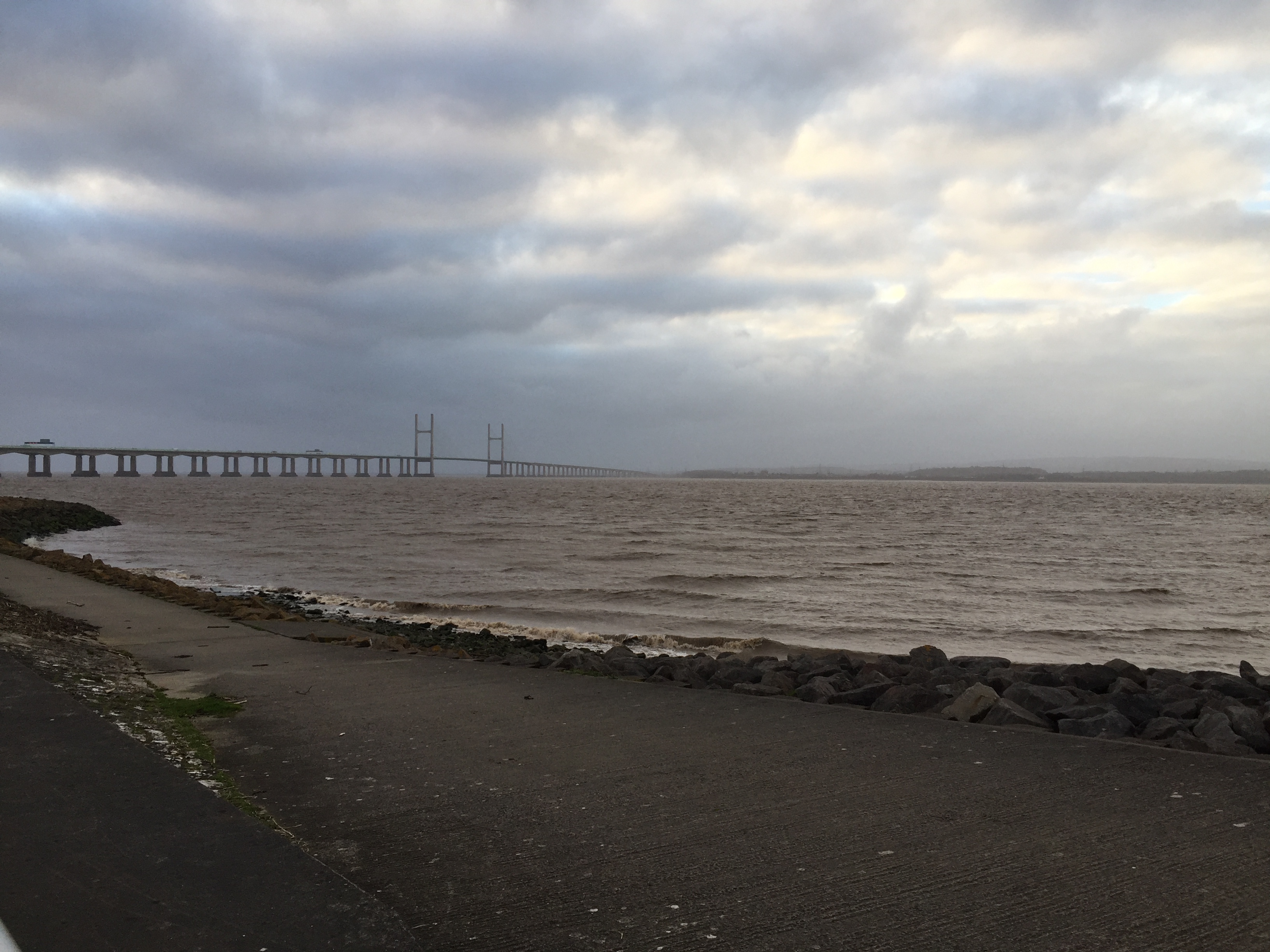 Pete Cooper Wildlife | Words from an aspiring conservationist