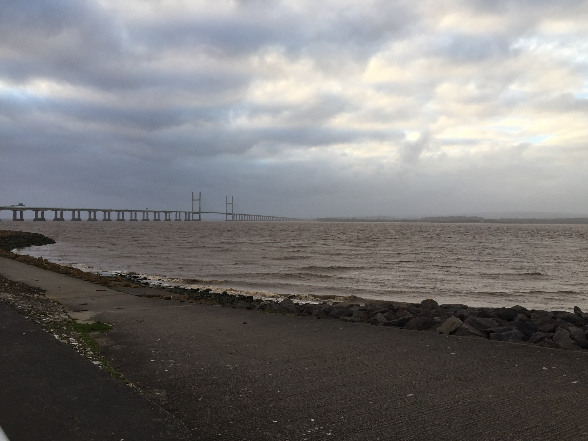 Nature Diary: Pilning Wetlands, February | Pete Cooper Wildlife